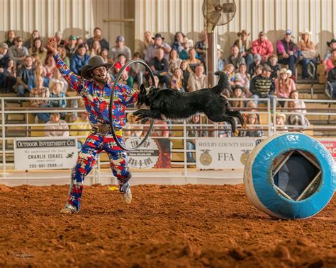 Dac Pbr Bull Fest Challenger Series — The Michiana Event Center