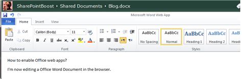 How To Enable Office Web Apps On Sharepoint 2010 Boostsolutions