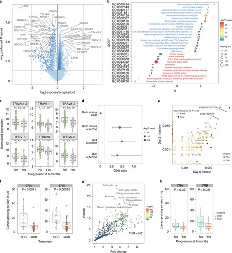 Identification Of Transcriptomic Correlates Of Long Term Response A Download Scientific