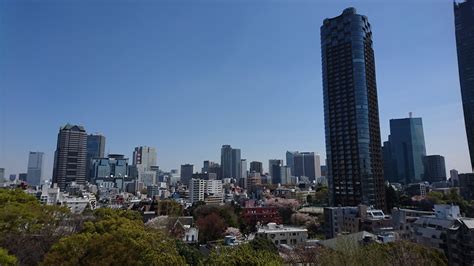 女性社員にランチに誘われて感じたこと アラ還オヤジ My Run＆life