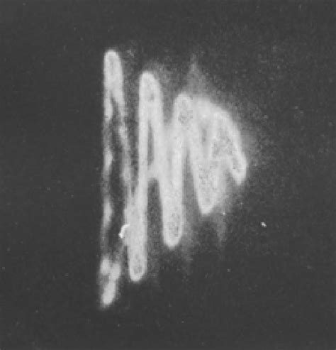 Braun Type Oscillograph Of The Waveform In A Chaffee Quenched Spark Gap Download Scientific