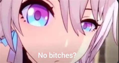 Meme R Honkaistarrail