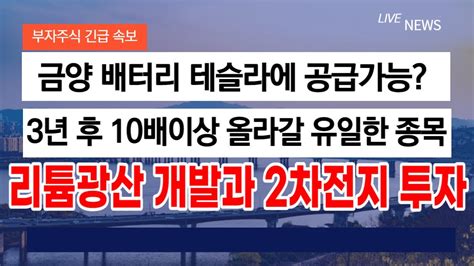 금양주가 금양 배터리 테슬라에 공급가능 3년 후 10배 이상 올라갈 유일한 종목 리튬광산 개발과 2차전지 투자로 주가