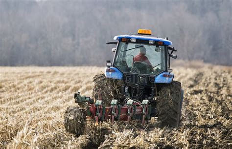 Farming Editorial Image Image Of Crops Food Plant 105648975
