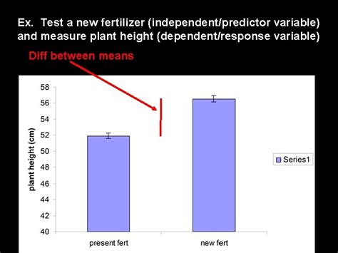 Testing For Differences Between 2 Means Does The