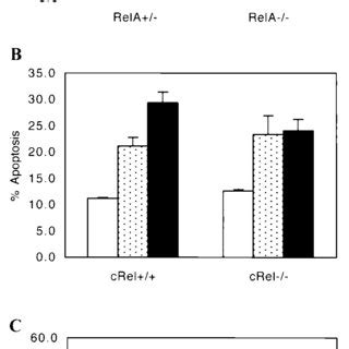 Proliferation And Fas FasL Expression In NF B Knockout CD4 T Cells A