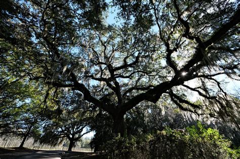 The Fujifilm X S10 Is A Compact Pro Camera Loaded With Super Cool Features Maxim