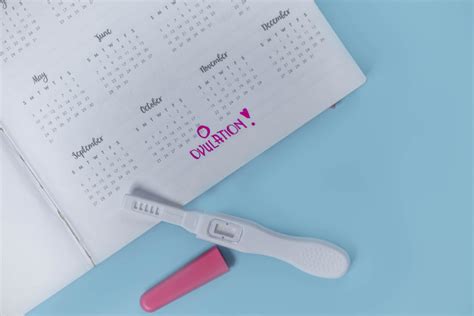 Bloating During Ovulation Signs And Tips To Manage