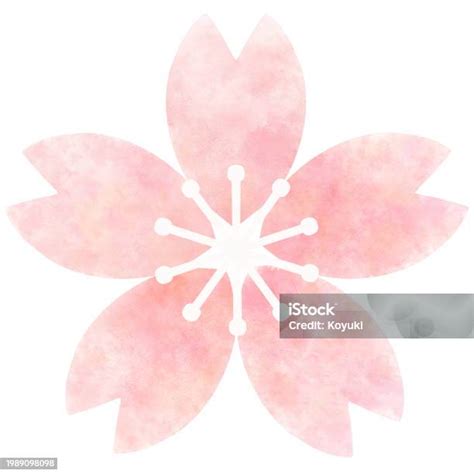 벚꽃 꽃 Sakura Flower 클립 아트 0명에 대한 스톡 벡터 아트 및 기타 이미지 0명 3월 4월 Istock