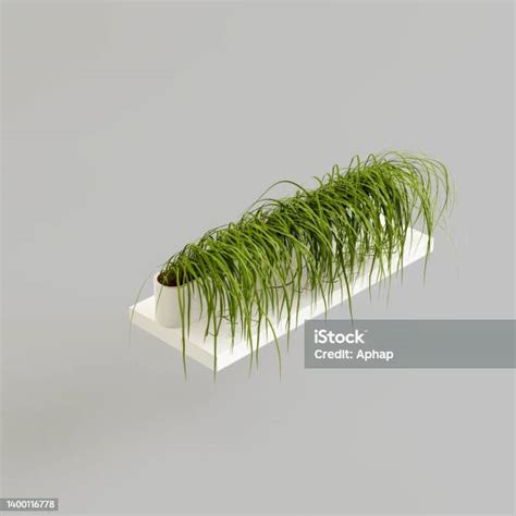 흰색 배경에 고립 된 흰색 화분에 잔디의 3d 그림 0명에 대한 스톡 사진 및 기타 이미지 0명 3차원 형태 검은색