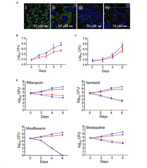 Effect Of Foam Cell Formation On Intracellular Growth Of Mtb And The