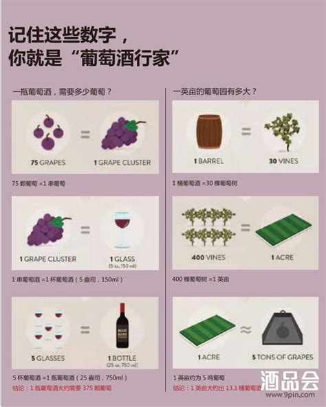 記住這些數字你就是葡萄酒行家 每日頭條