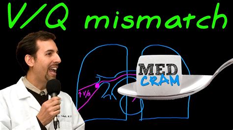 Ventilation Perfusion VQ Mismatch Explained Clearly YouTube