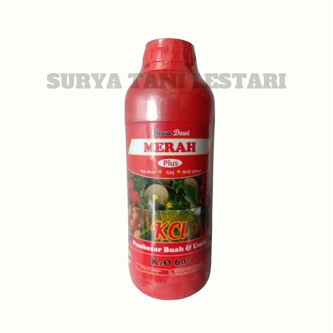 Dewa Dewi Merah Plus 1 Liter Pupuk Kcl Cair Pembesar Buah Dan Umbi