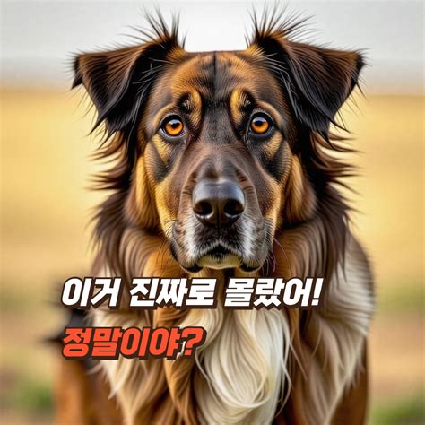 신생아 식도 역류gerd의 원인 증상 그리고 치료 방법 완벽 가이드 아기 부모가 꼭 알아야 할 모든 것