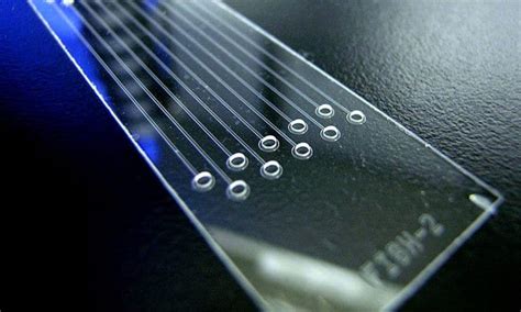 Microfluidic Chip Market Is Booming Worldwide Fluidigmagilent