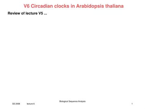 Ppt V6 Circadian Clocks In Arabidopsis Thaliana Powerpoint