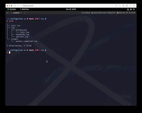 Packer Nvim Commentary Of Dotfiles