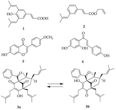 Propolis Extract And Its Bioactive Compounds—from Traditional To Modern Extraction Technologies