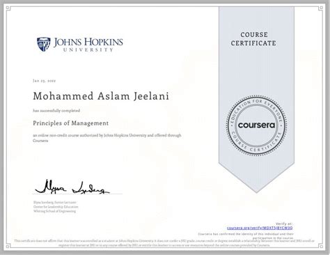 Johnshopkinsuniversity Principlesofmanagement Managementconsulting