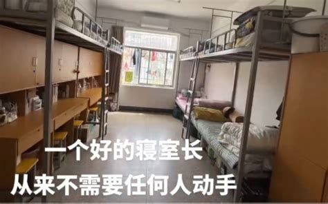 视频去哪了呢 哔哩哔哩 bilibili