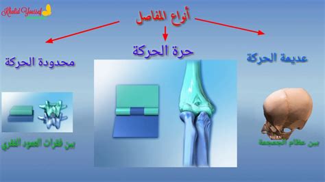 ‫انواع المفاصل‬‎ Youtube