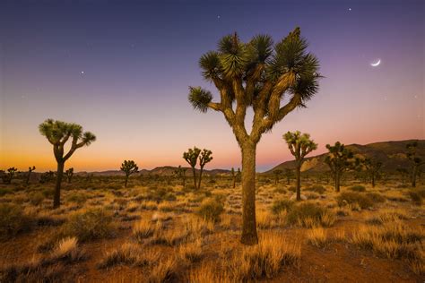 Incredible Nature Photos From Americas National Parks