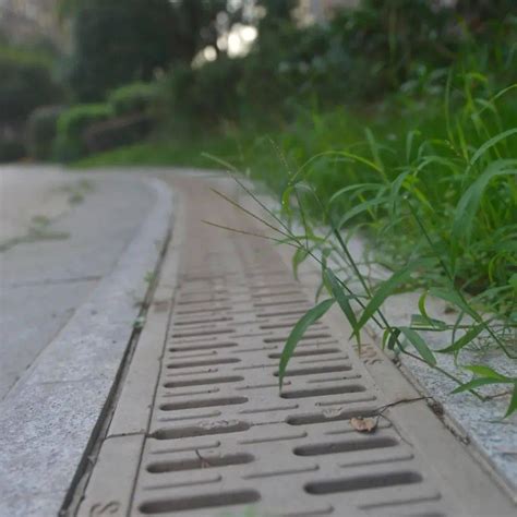 会理古城街道：改造排水沟，排水又排“忧”社区教育群众