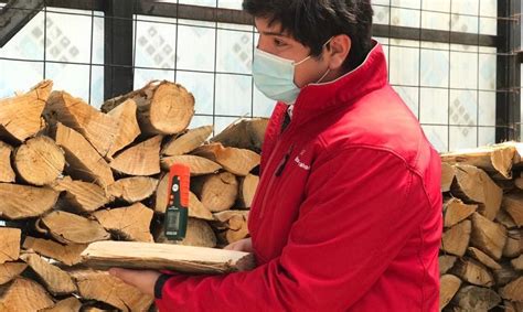 Entregan consejos para secar leña durante la temporada estival Diario