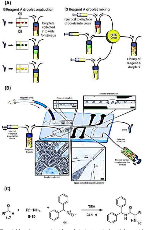 Figure 1 From Application Of Microfluidics In Drug Development From