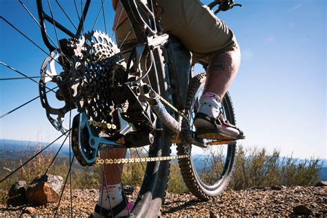 Readers Rig Dearmonds Salsa Timberjack Ti