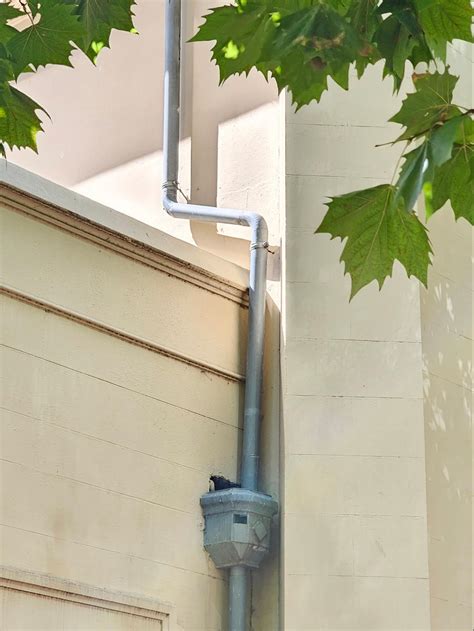 Scupper Rain Conductor Heads