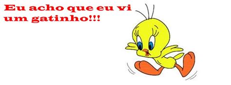 Capas Lyon Eu Acho Que Eu Vi Um Gatinho