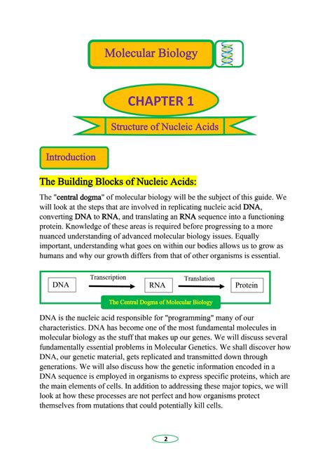 SOLUTION The Building Blocks Of Nucleic Acids Studypool