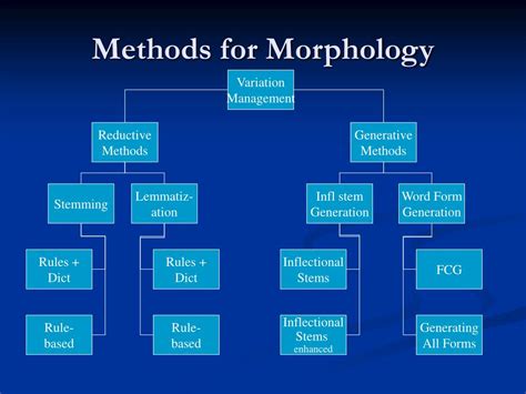 Ppt Managing Morphologically Complex Languages In Information Retrieval Powerpoint