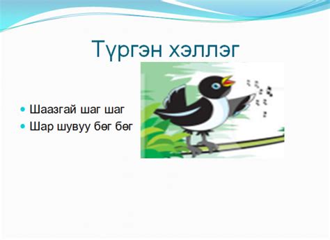 Шаазгай хүү бүүвэй