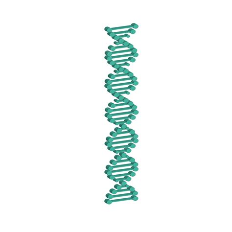 흰색 배경에 고립 된 3d Dna 기호 가닥 프리미엄 벡터
