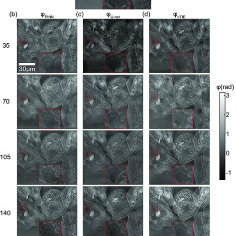 Phase Retrieval Performance With Deficient Training Data A Target Download Scientific
