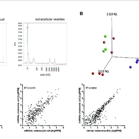 Ngs Analyses Of Mirna Cargo In Evs And Mirna Profiles Of