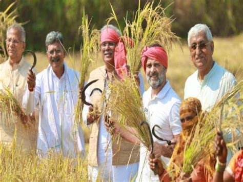 Rahul Gandhi Farmer Look Image Sickle In Hand Bhupesh Baghel Chhattisgarh Chunav छत्तीसगढ़ में