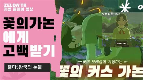 젤다 왕눈 꽃의 커스 가논 공략법 사실 링크의 여동생이었다고 Youtube
