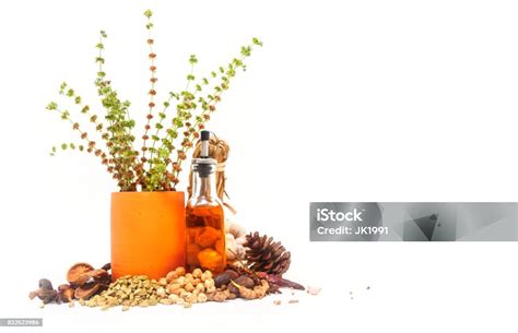 인도 향신료와 허브에 흰색 배경 기본 보기 혼합 인도 향신료와 허브 차이 도자기 디자인 야채 향신료 허브 또는 식품 콘텐츠에 대 한 복사 공간 흰색 배경에 그룹 가루로