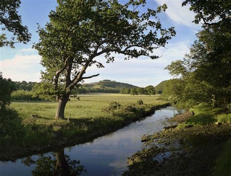 Green Pastures And Still Water Jacque Watkins