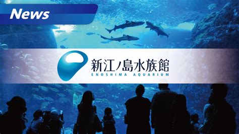 【2024年11月20日 最新】 湘南エリア（鎌倉、江ノ島、藤沢、茅ヶ崎、平塚、小田原、横須賀など）のイベント情報 【藤沢市】7月5日金