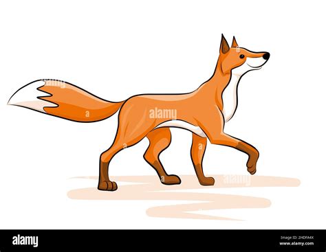 Drawing Fox Comic Drawings Foxs Cartoon Cartoons Comic Books