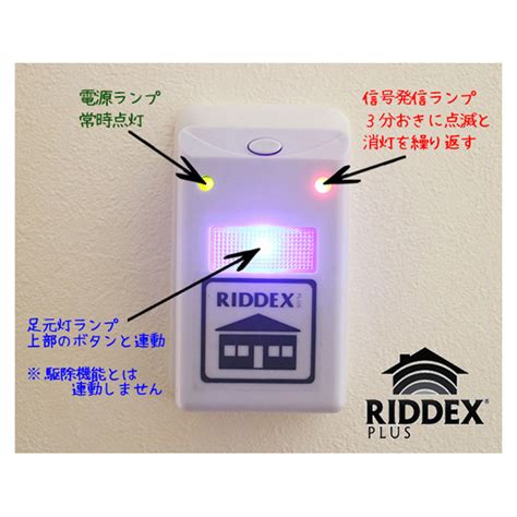 RIDDEX PLUS | zakkazakka【ザッカザッカ】
