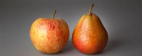 Comparative Usability Testing Why It Matters For Your Business Trymata