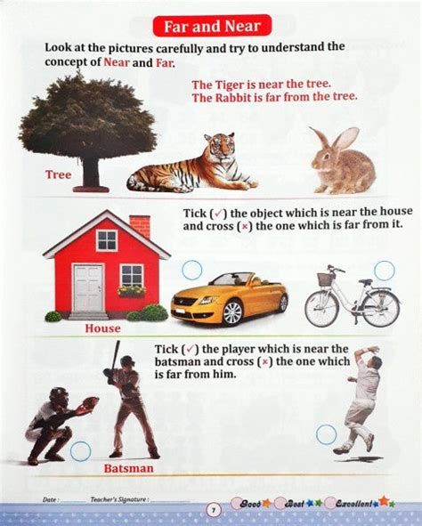 Work And Activity Book Mathematics Pre Primer A Books And You