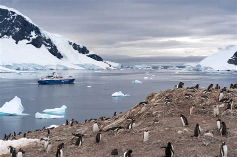 Historias De Viajes 11 Tips Valiosos Para Hacer Turismo En La Antártida