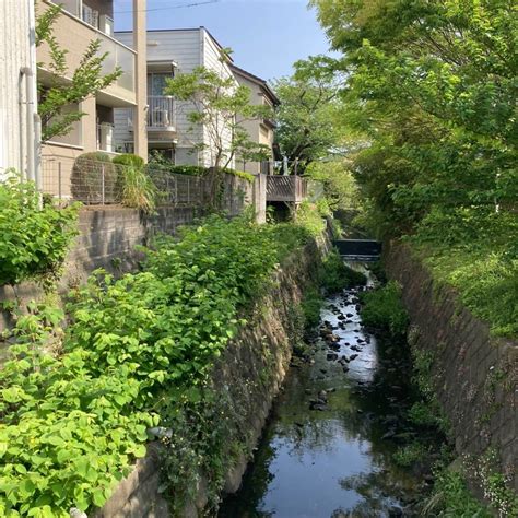 ミック 三春情報センター 西鎌倉店 こんにちは。ミック西鎌倉店アシスタントのaです！ 今朝はあいにくの天気でしたが、本日は西鎌倉駅周辺の